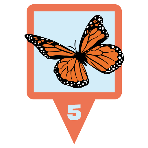 Munzee – Scavenger Hunt » Introducing the New Munzee StarterPak!